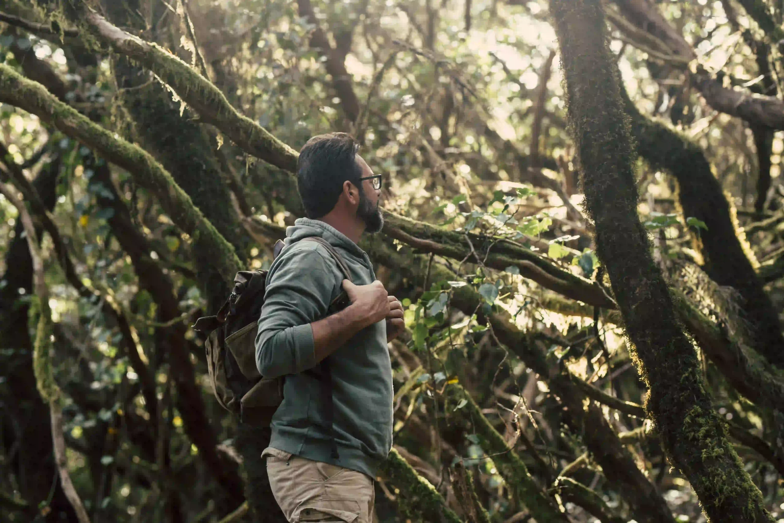 About us - Endemic Explorer